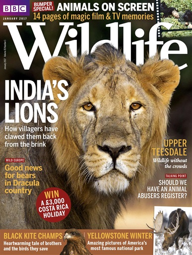 BBC Wildlife Magazine - January 2017 Subscriptions | Pocketmags