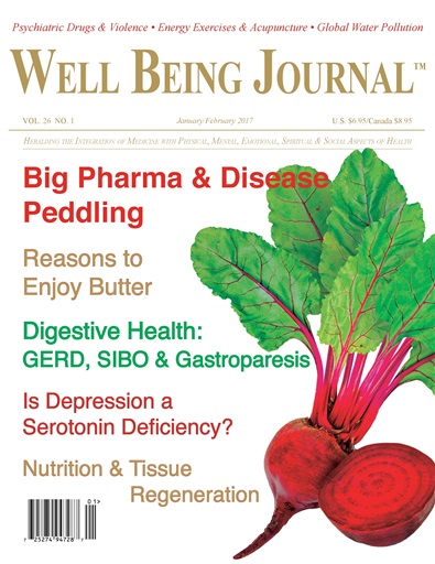 Well Being Journal Magazine - January/February 2017 Subscriptions ...