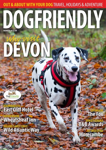 Dog Friendly Magazine - Jan-Feb 17 Subscriptions | Pocketmags