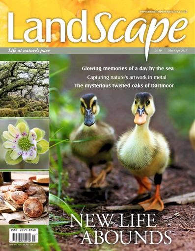 LandScape Magazine - Mar/Apr 2017 Subscriptions | Pocketmags