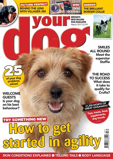 Your Dog Magazine - Your Dog Magazine March 2017 Subscriptions | Pocketmags