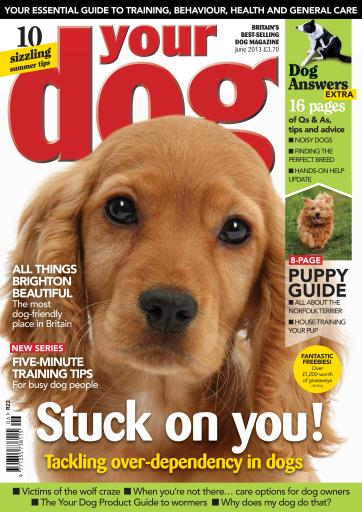Your Dog Magazine - Your Dog Magazine June 2013 Subscriptions | Pocketmags